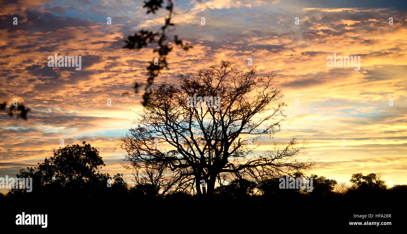 African sunset sky hi-res stock photography and images - Alamy