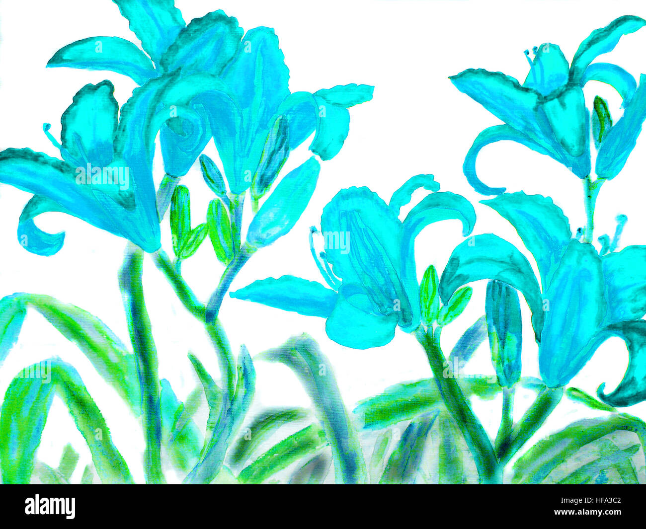 Hand Drawn Lilies High Resolution Stock Photography and Images - Alamy