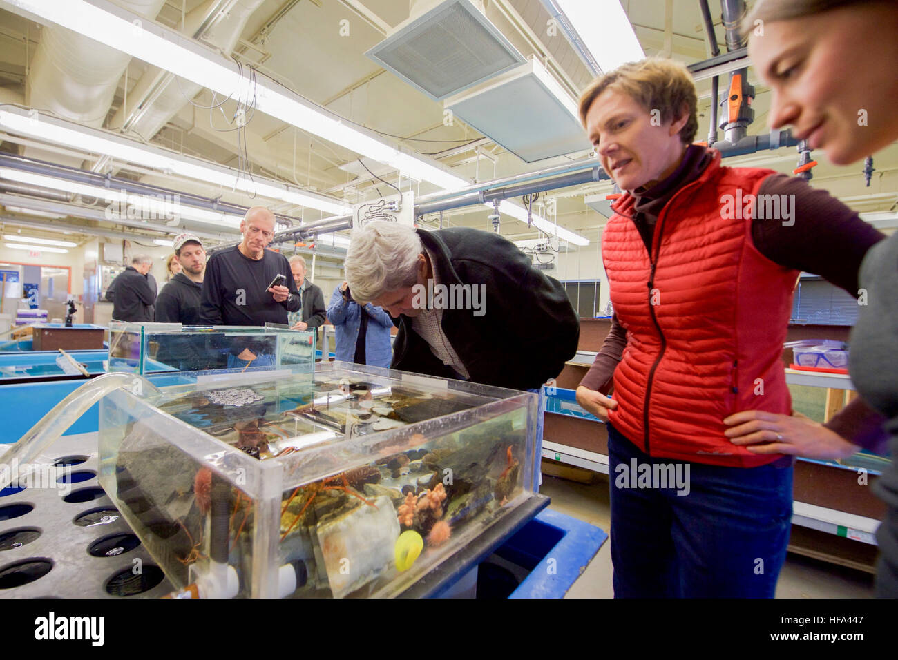 U.S. Secretary of State John Kerry looks in a tank of marine wildlife ...