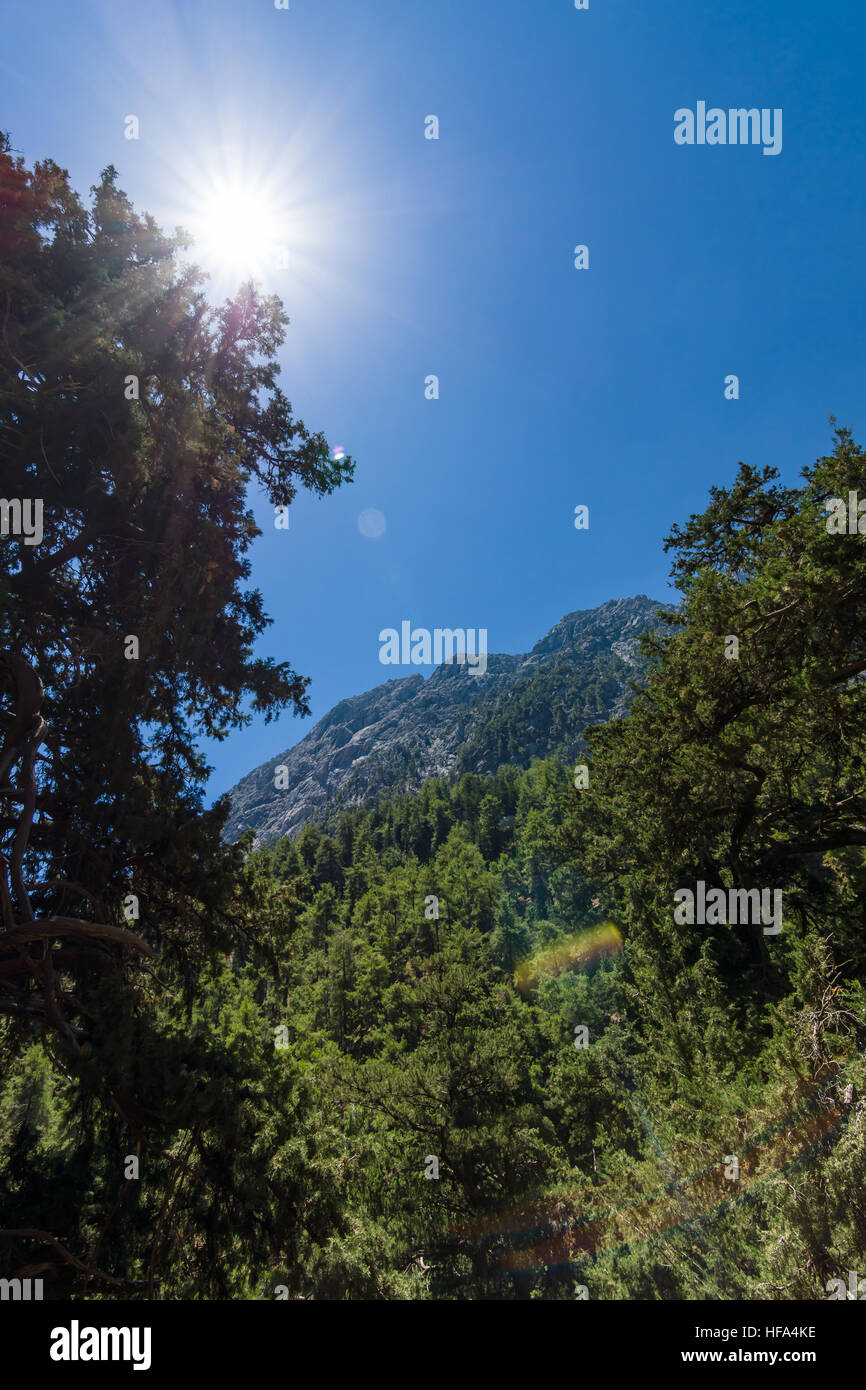 Samaria Gorge. Crete. Greece. Lens flare on the blue sky Stock Photo ...