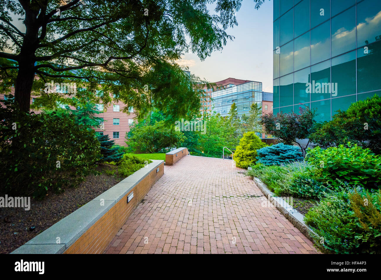 Walkway and buildings at Northeastern University, in Boston ...