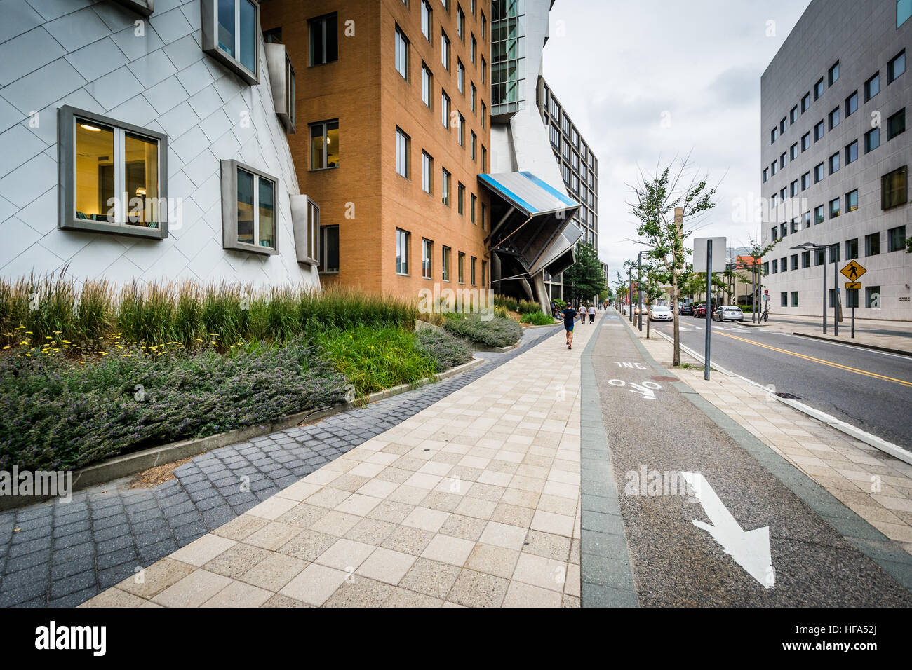 Bike path and the Ray and Maria Stata Center at the Massachusetts Institute of Technology, in ...