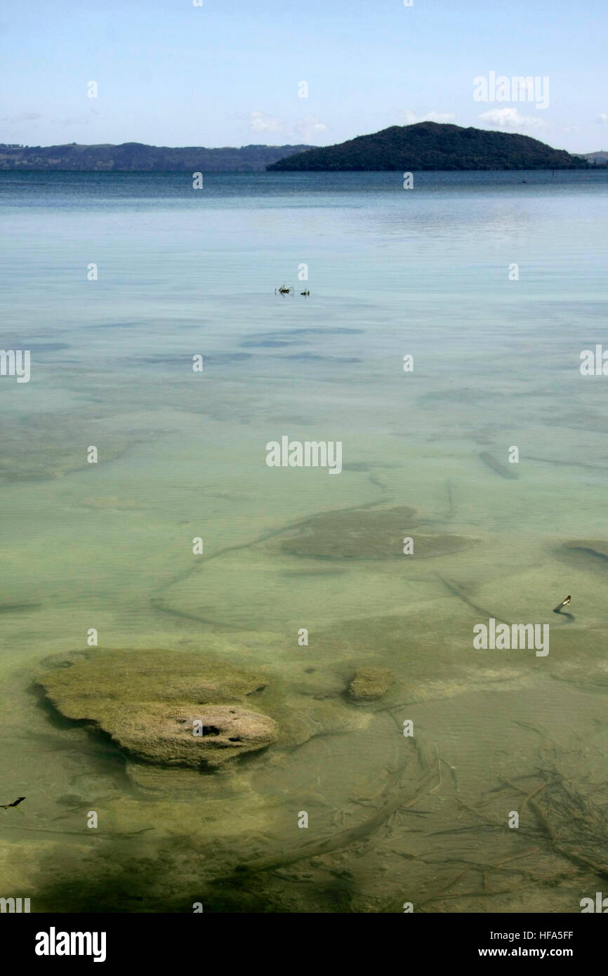 Sulfur lake at Rotorua Stock Photo - Alamy