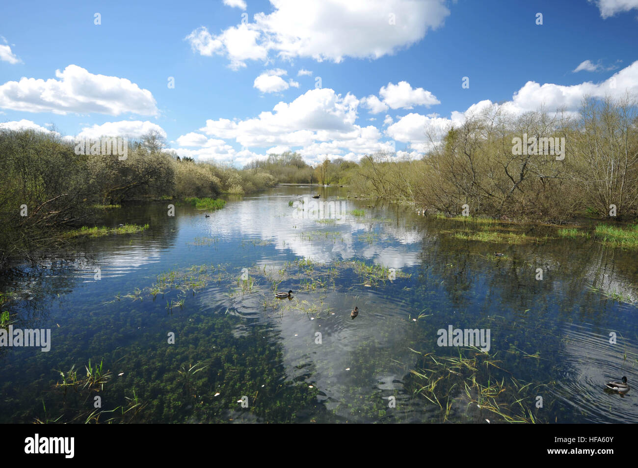 Around Bishop's Waltham a village in Hampshire in the UK , England Home ...