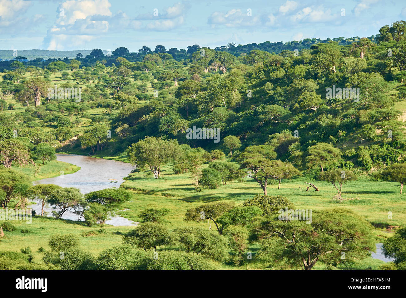Scenic view of the Tarangire river valley in the Tarangire National ...