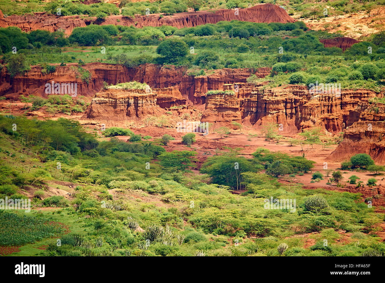 Murram soil hi-res stock photography and images - Alamy