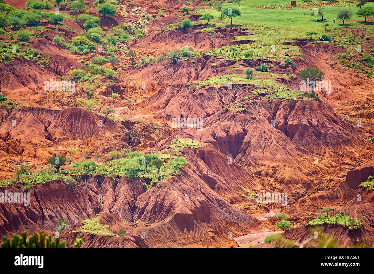 Soil Erosion Deforestation