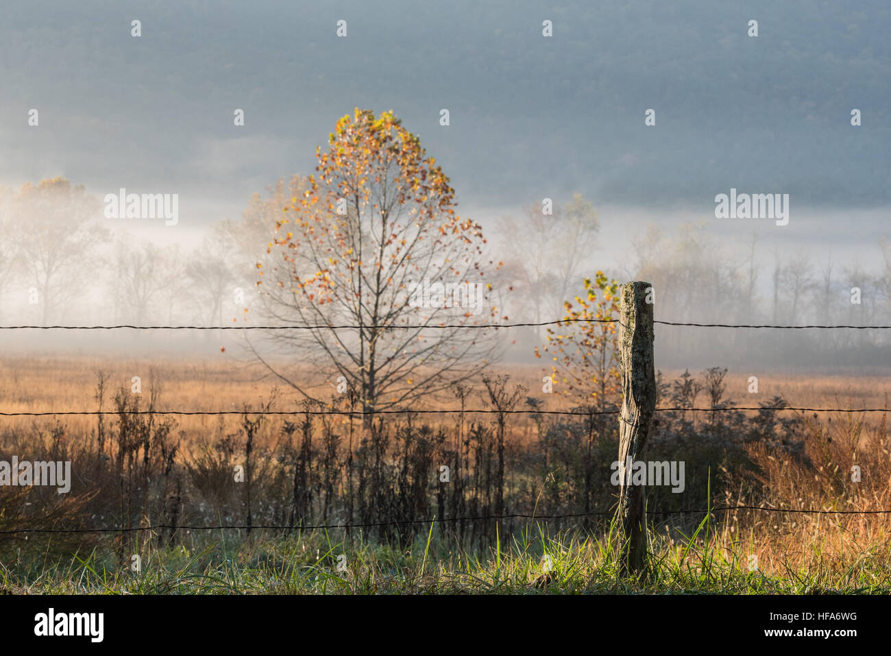 Old Wire Fence in Foggy Valley in Cades Cove Stock Photo - Alamy