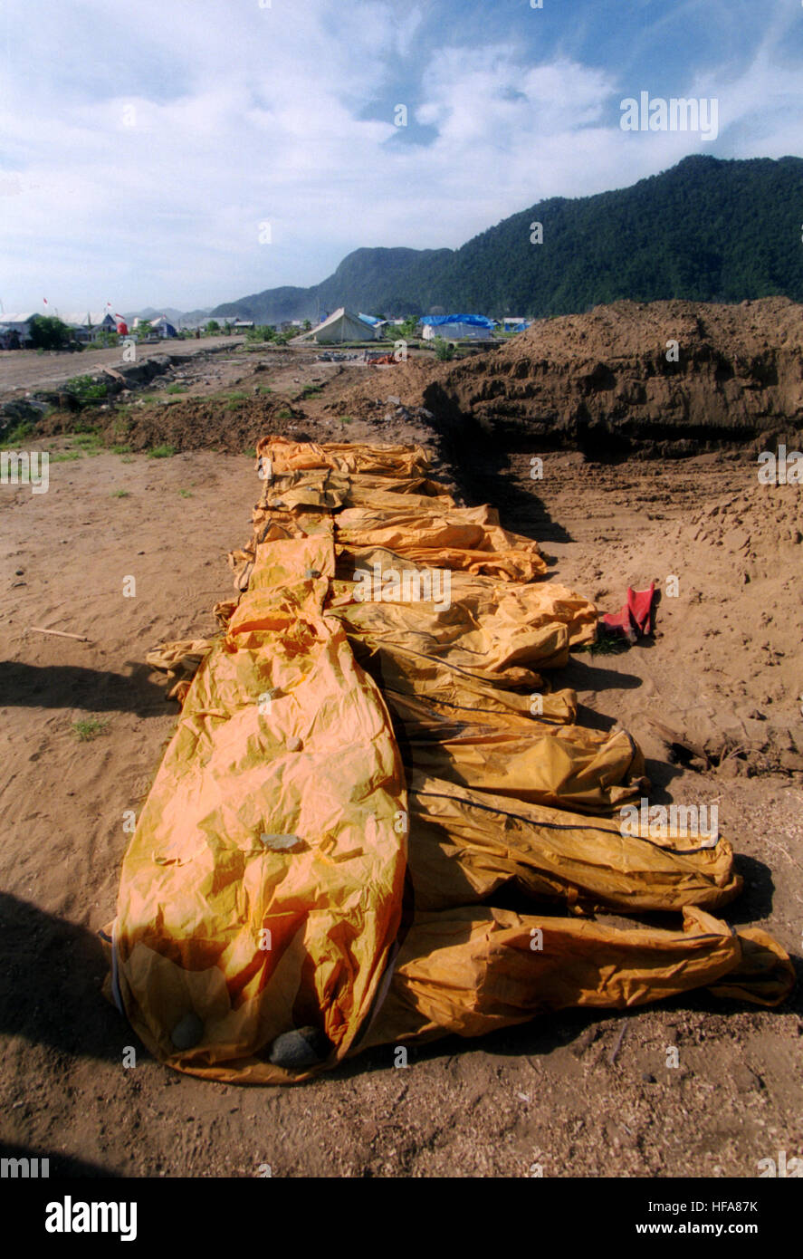 Percent deaths hi-res stock photography and images - Alamy