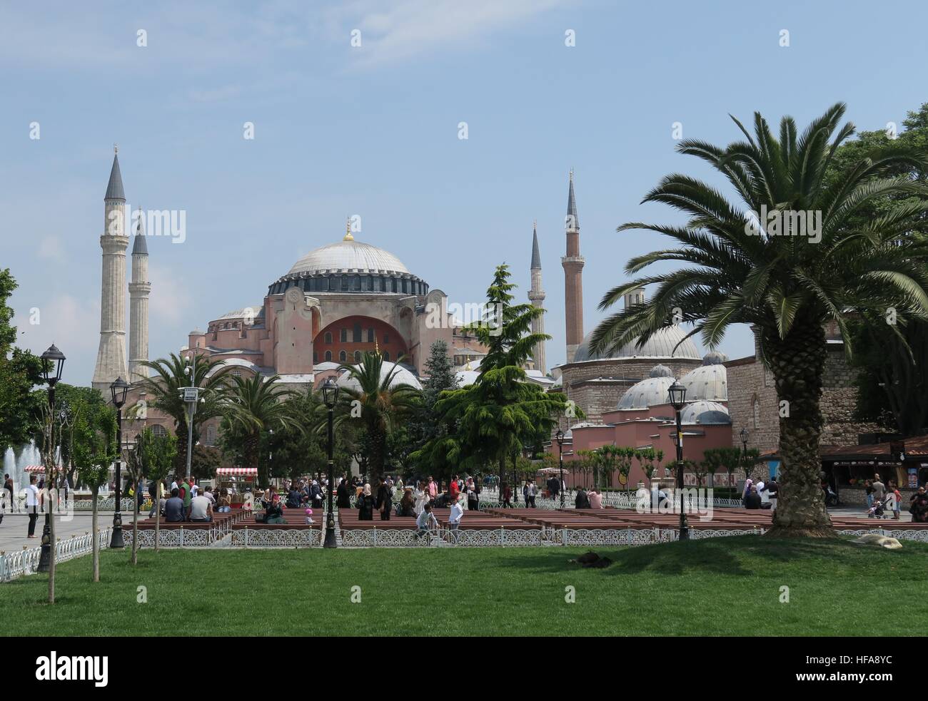 Palm Tree in front of Hagia Sophia in Istanbul, Turkey Stock Photo - Alamy