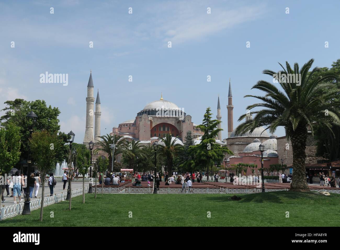 Palm Tree in front of Hagia Sophia in Istanbul, Turkey Stock Photo - Alamy