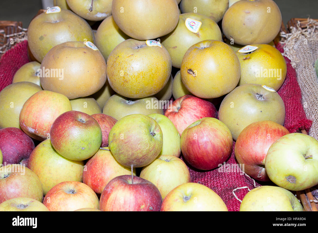 Eataly famous food store market: assortment of red and green fresh apples with prices on sale in ...