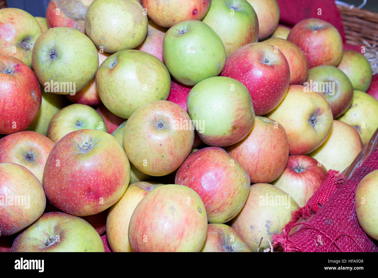 Eataly famous food store market: assortment of red and green fresh apples with prices on sale in ...
