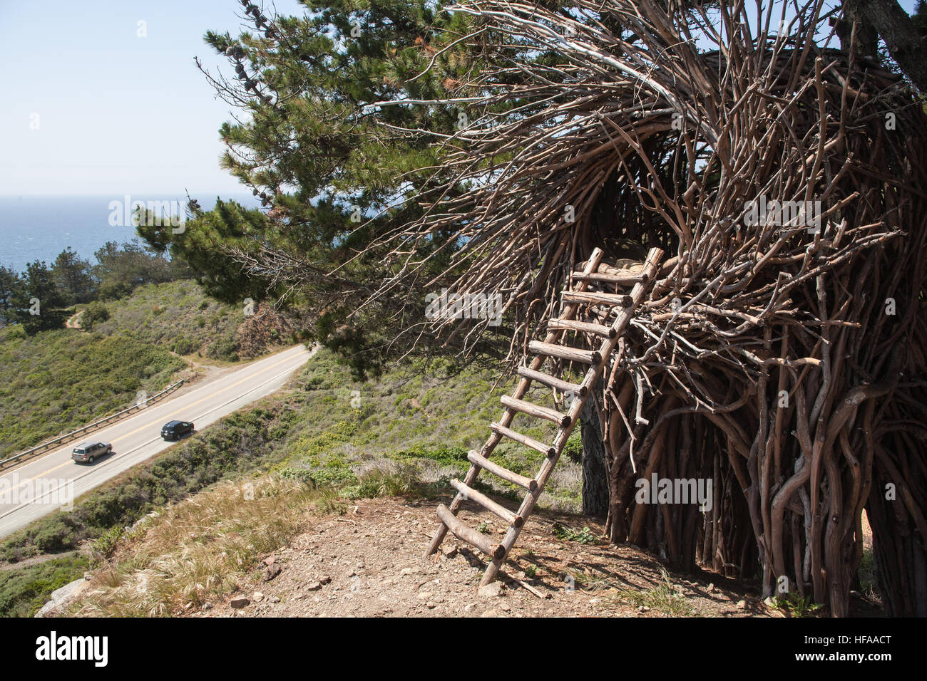 Tree house,treehouse, at Treebones Resort with views above National ...