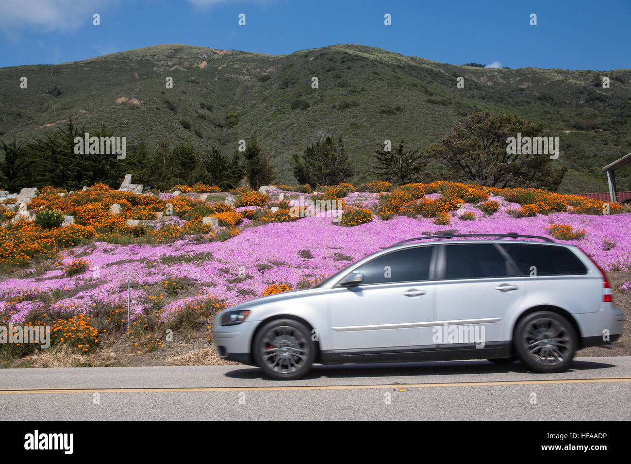 California highway flowers in bloom hi-res stock photography and images ...