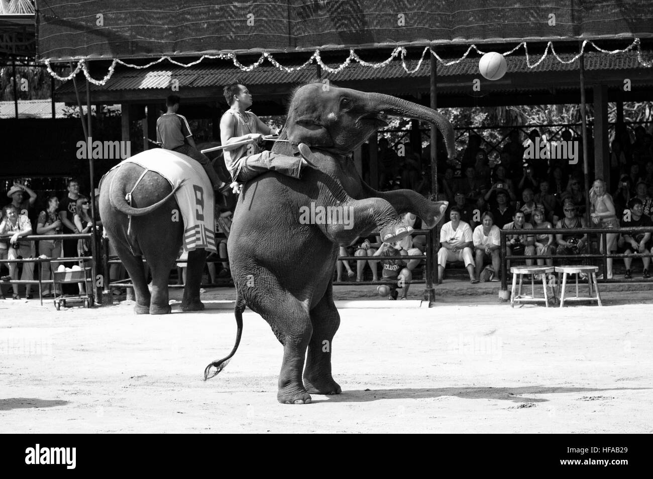 Thailand graphics Black and White Stock Photos & Images - Alamy