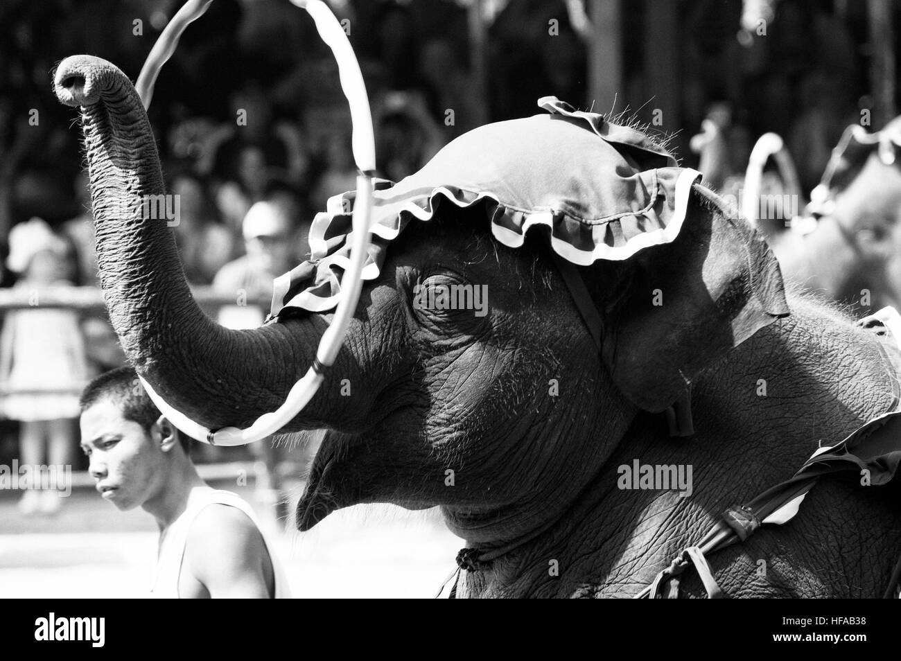 Thailand graphics Black and White Stock Photos & Images - Alamy