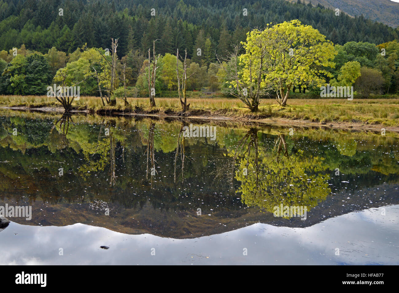 Loch Lubnaig Trossachs National Park Strathyre Scotland Stock Photo - Alamy