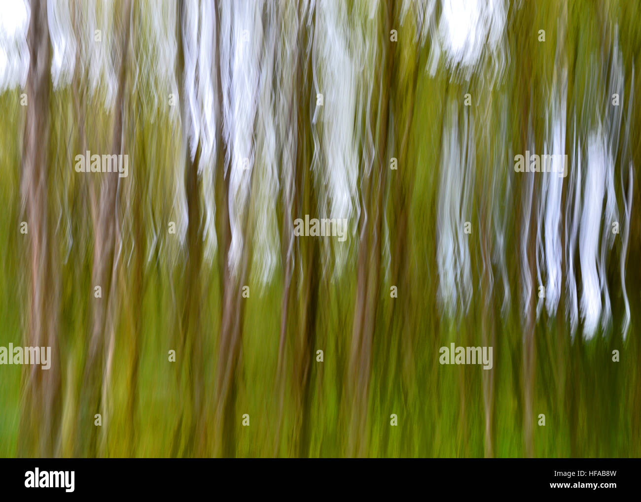 Abstract impression by Intentional camera movement to create blur of ...