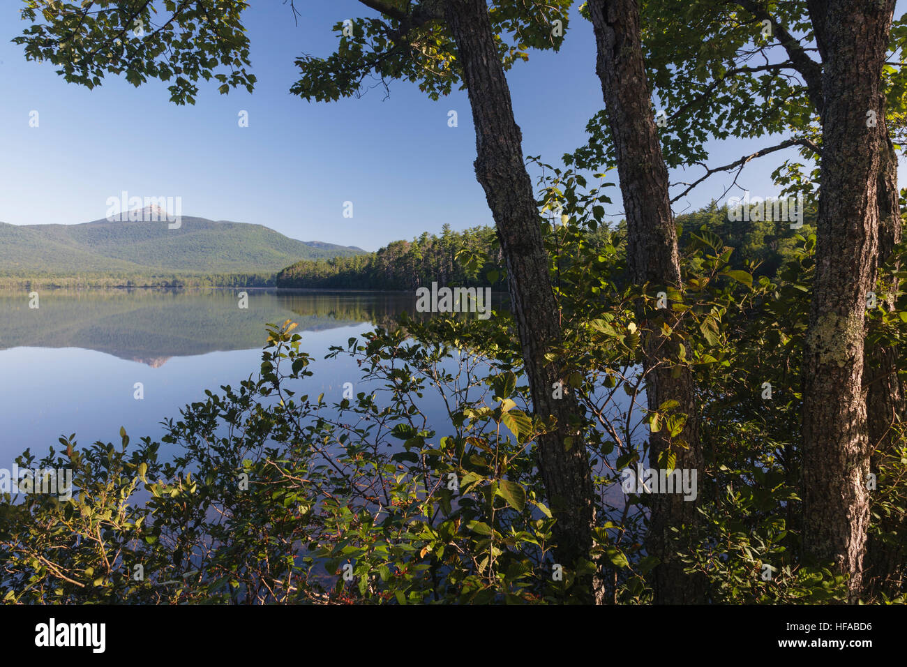 Chocorua lake in tamworth hi-res stock photography and images - Alamy