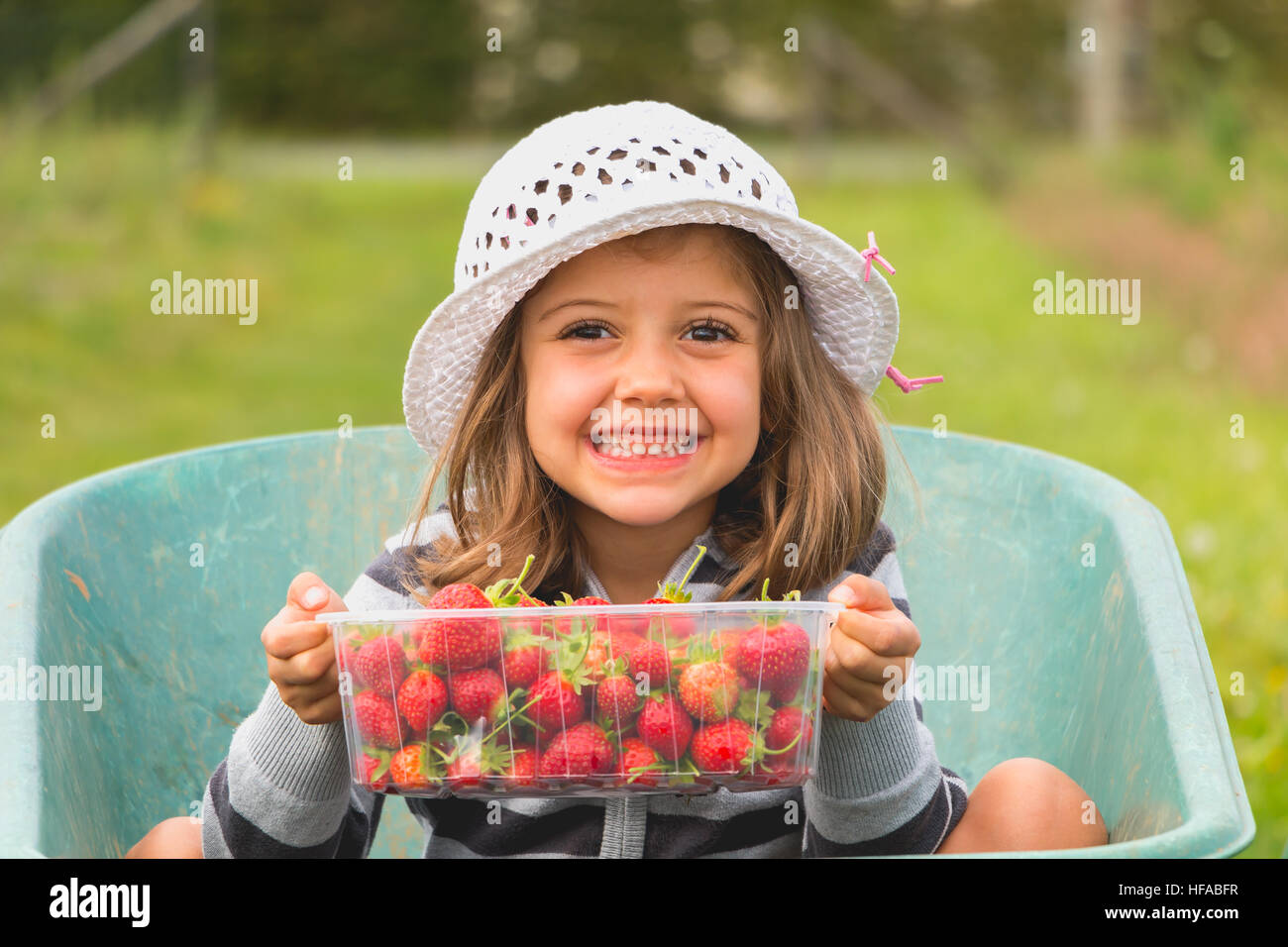 Little girl with a white hat who picking strawberries Stock Photo - Alamy