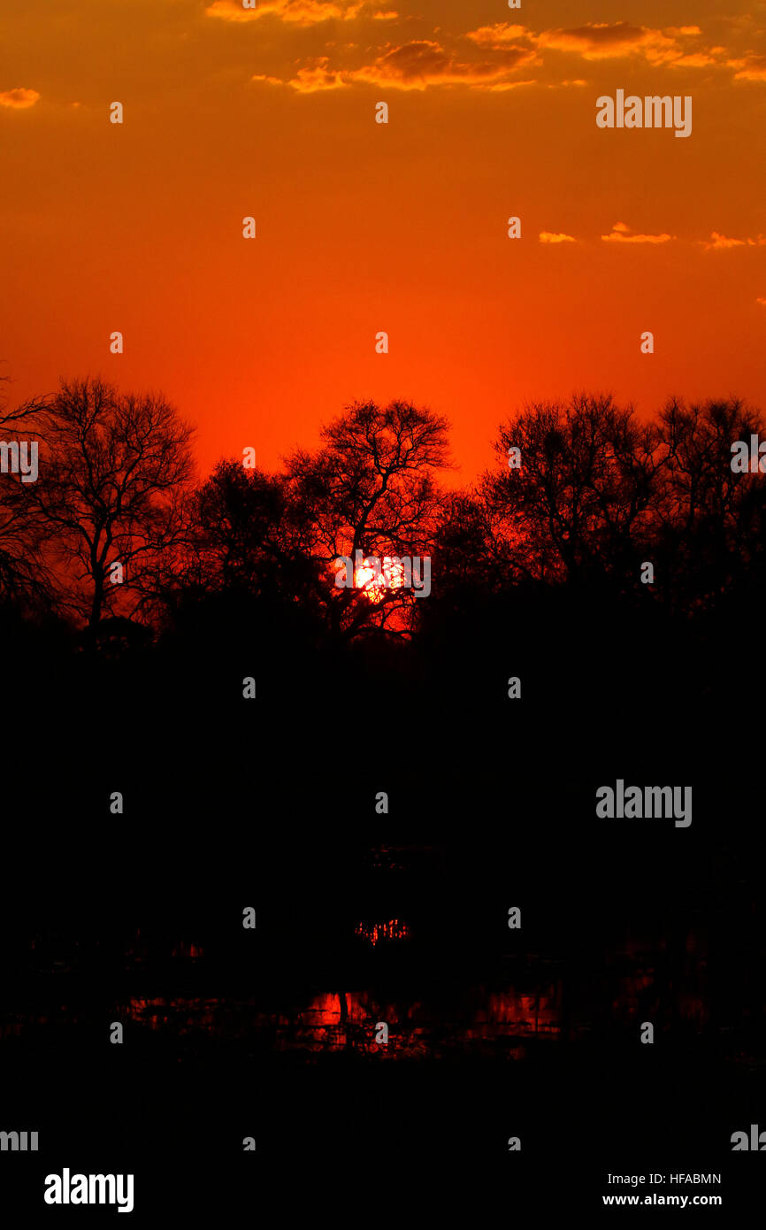 The iconic African sunset so rich & vibrant with warm deep reds ...