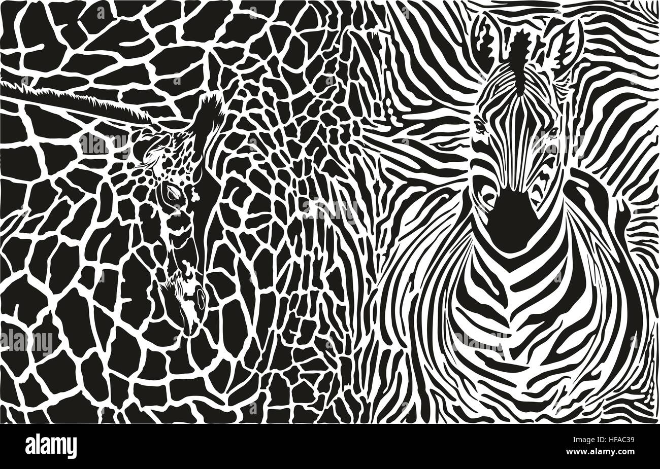 Background with zebra and giraffe Stock Photo - Alamy