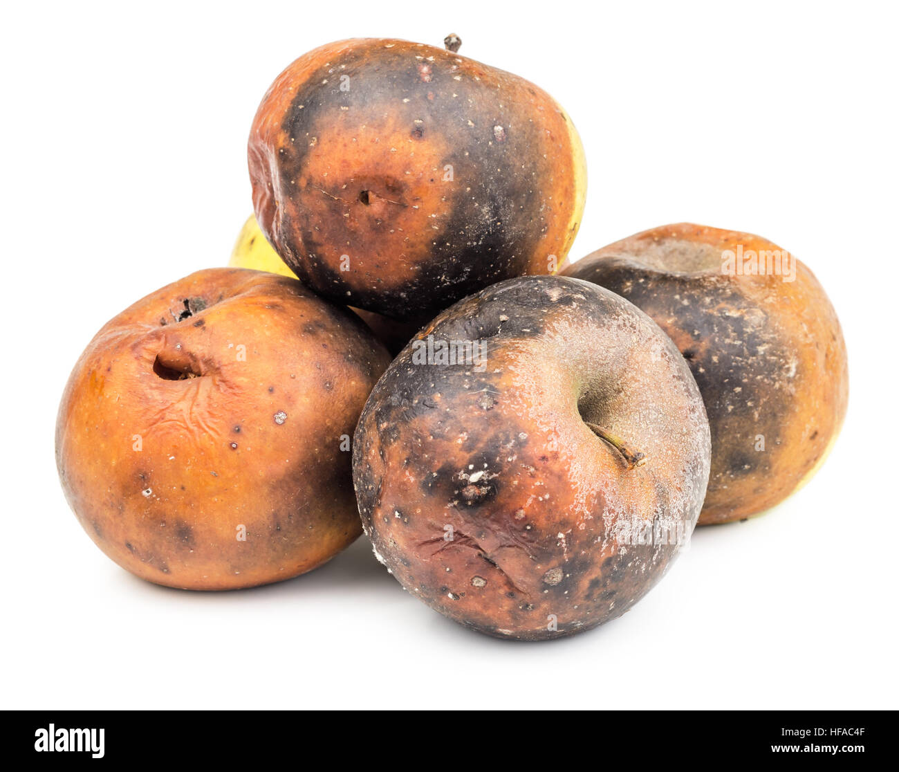 Rotten and moldy apples isolated on white background. Moldy vegetable ...