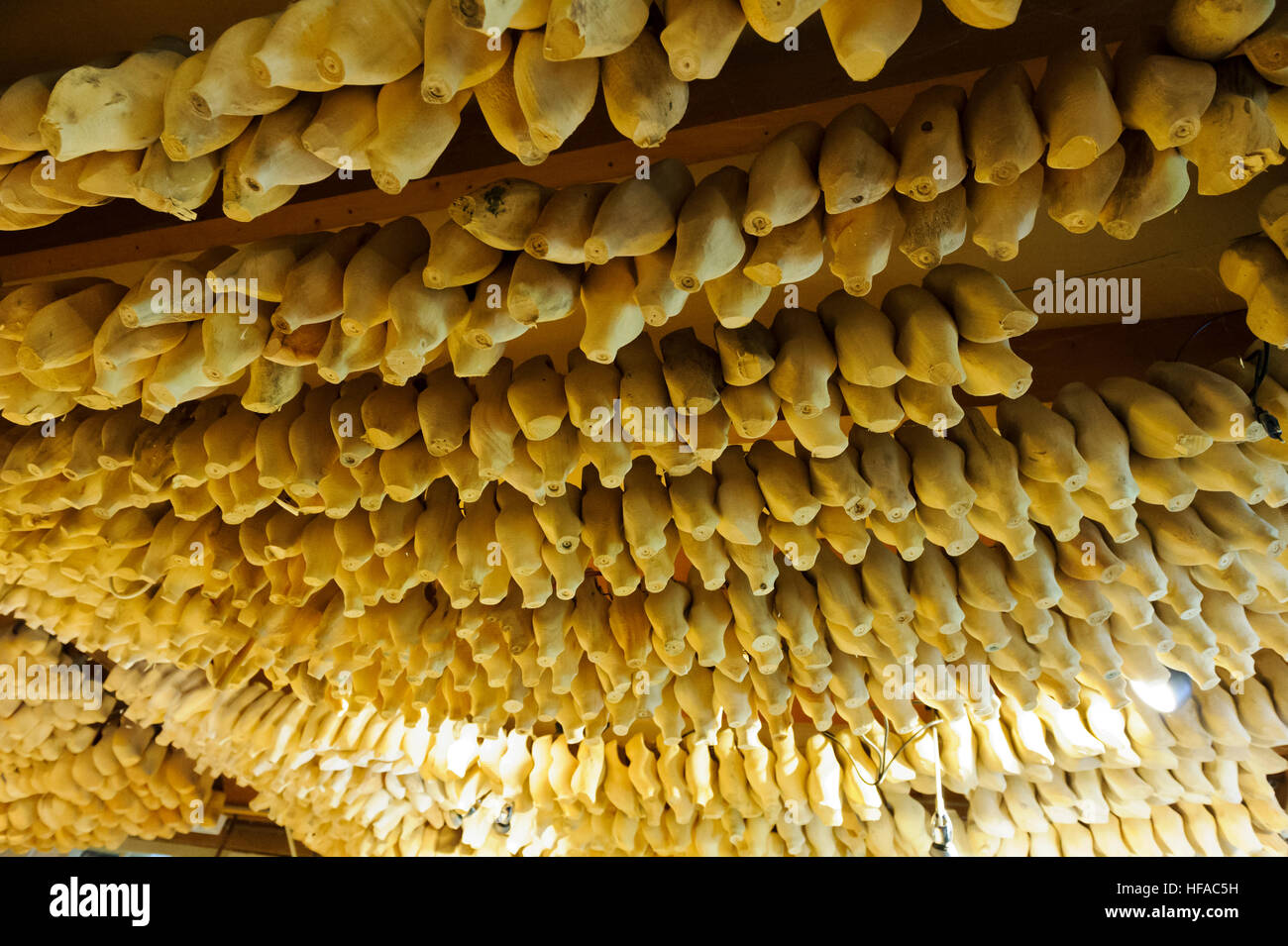 Unfinished wooden clogs hanging from the ceiling in a clogs factory ...