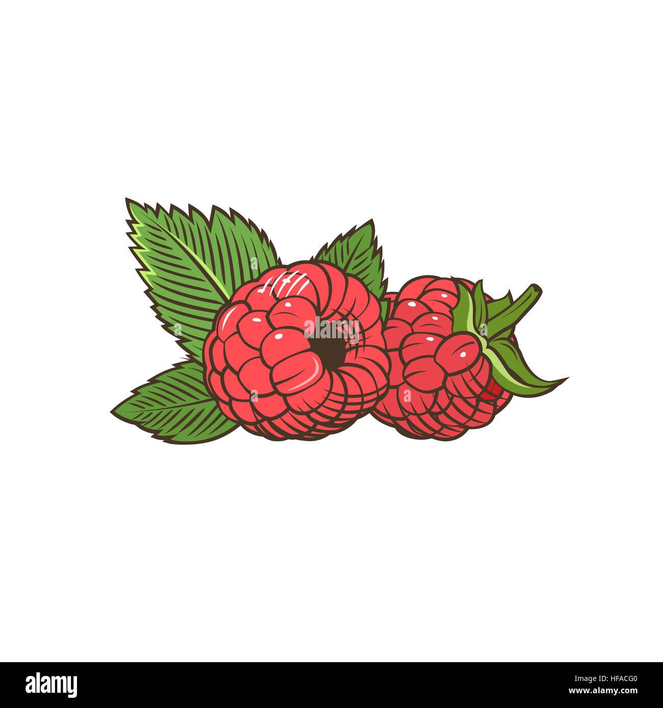 Raspberry in vintage style Stock Photo - Alamy