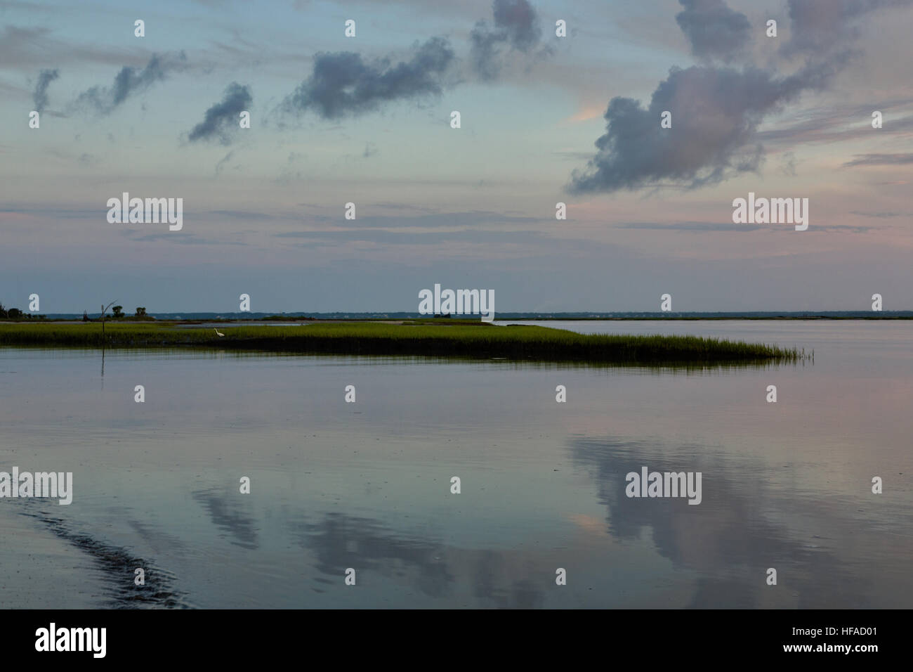 Marsh estuary at dawn at Isle of Palms near Charleston, South Carolina ...