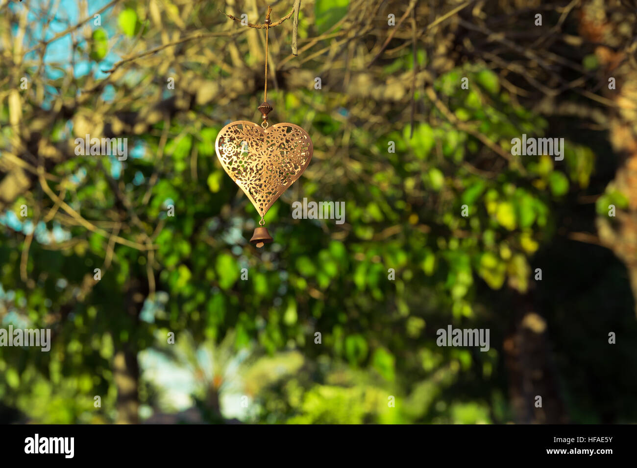 Lace heart hanging on a tree branch on green leaves background on a ...