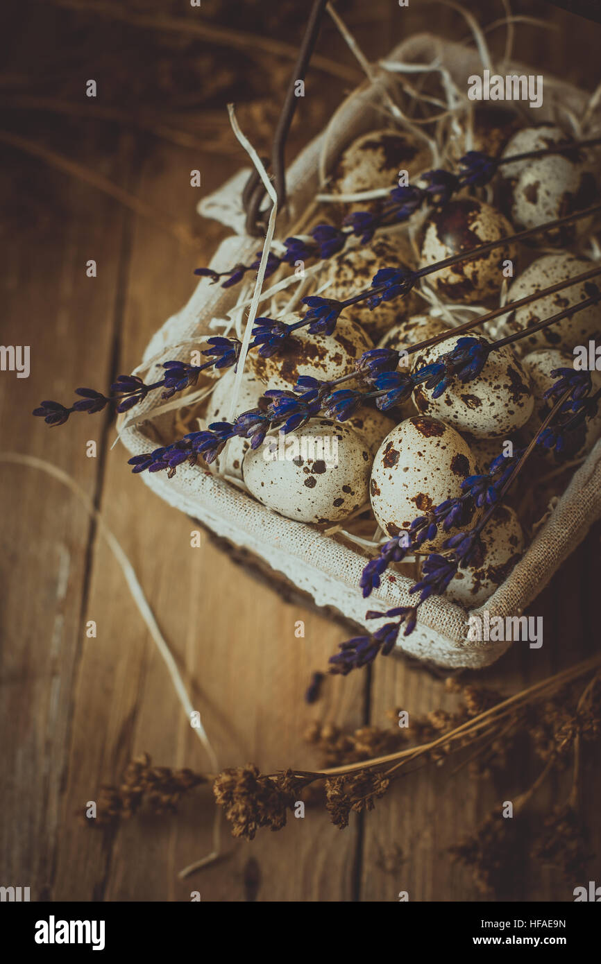 Quail eggs on straw in wicker basket,lavender and dry flowers,barn wood ...