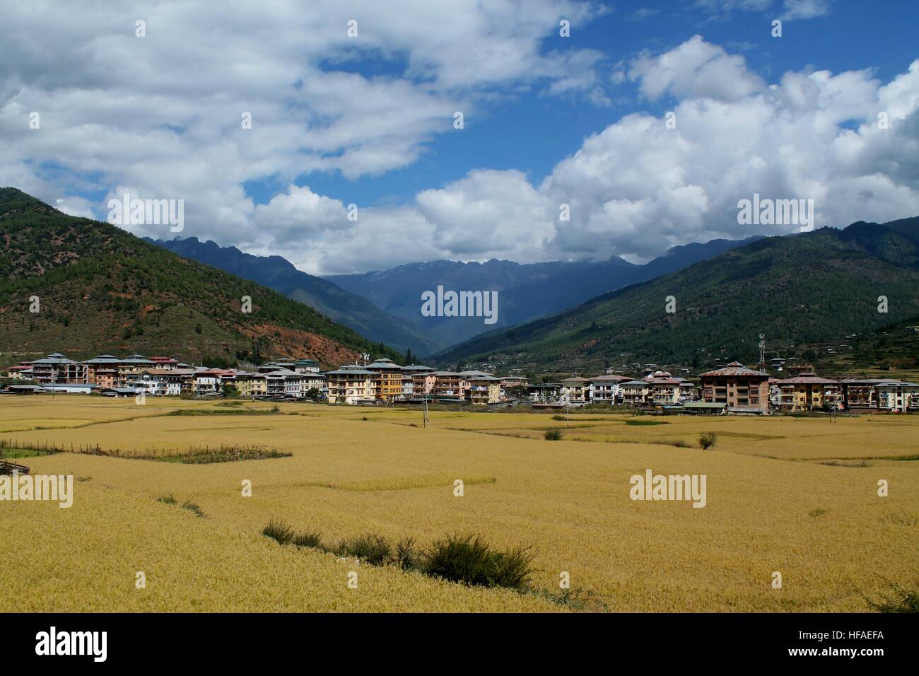 all in one Stock Photo - Alamy