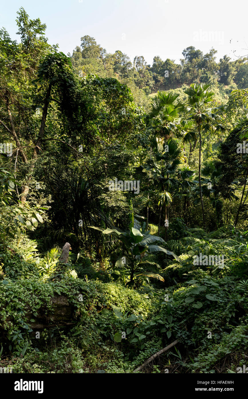 Tirap district hi-res stock photography and images - Alamy