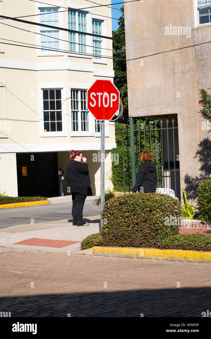 Stop sign hedge hi-res stock photography and images - Alamy