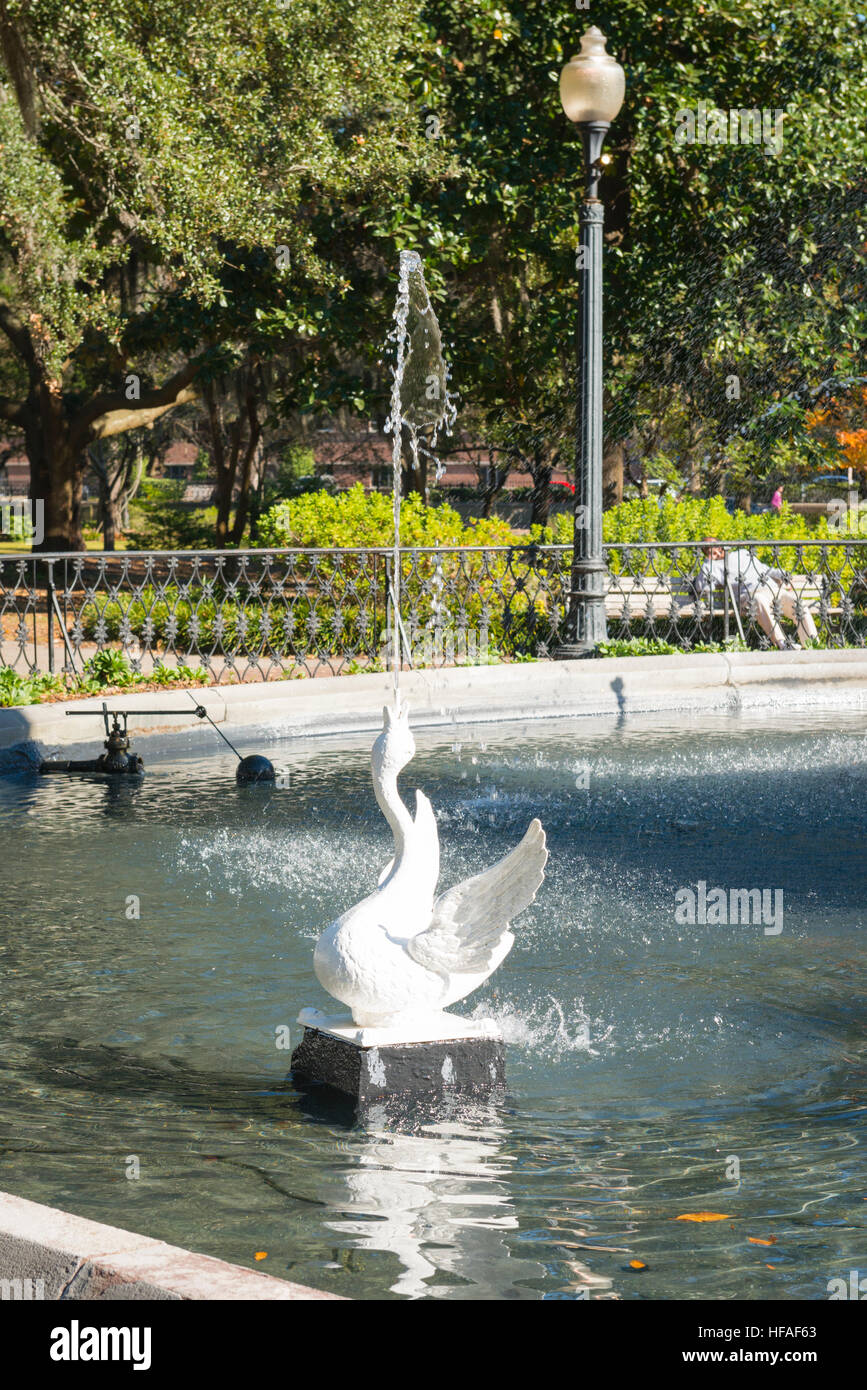 USA Georgia Savannah Forsyth Park fountain pond detail white swan benches trees Stock Photo - Alamy