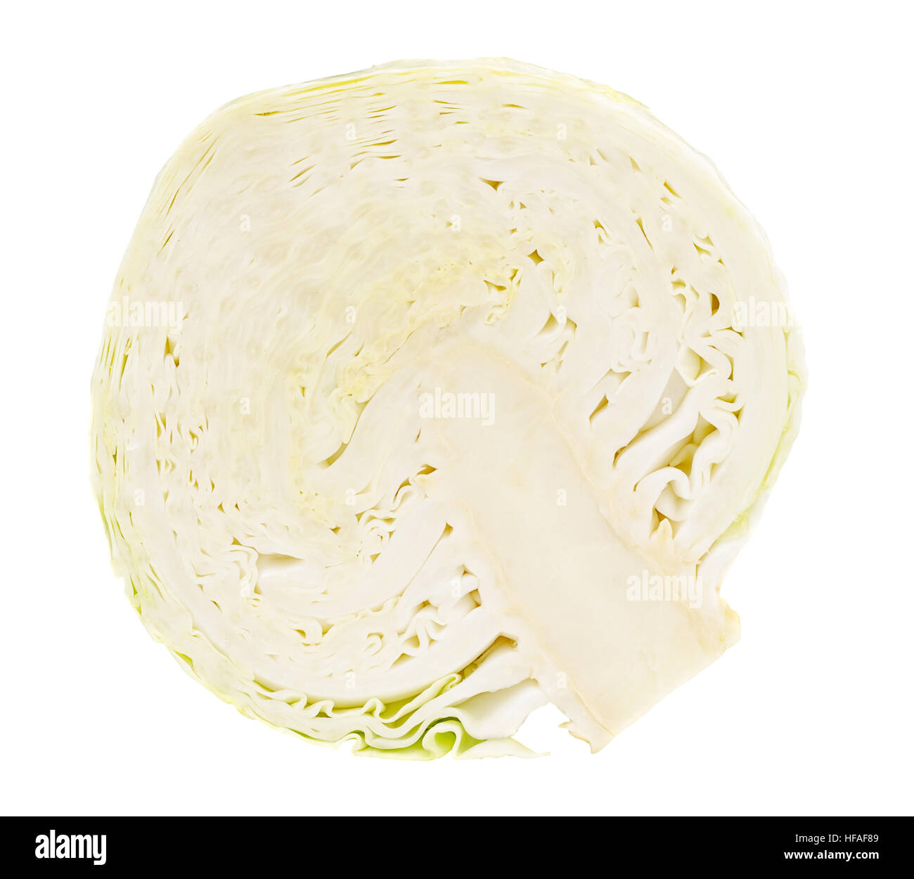 Half of white cabbage isolated on a white background. Clipping path ...