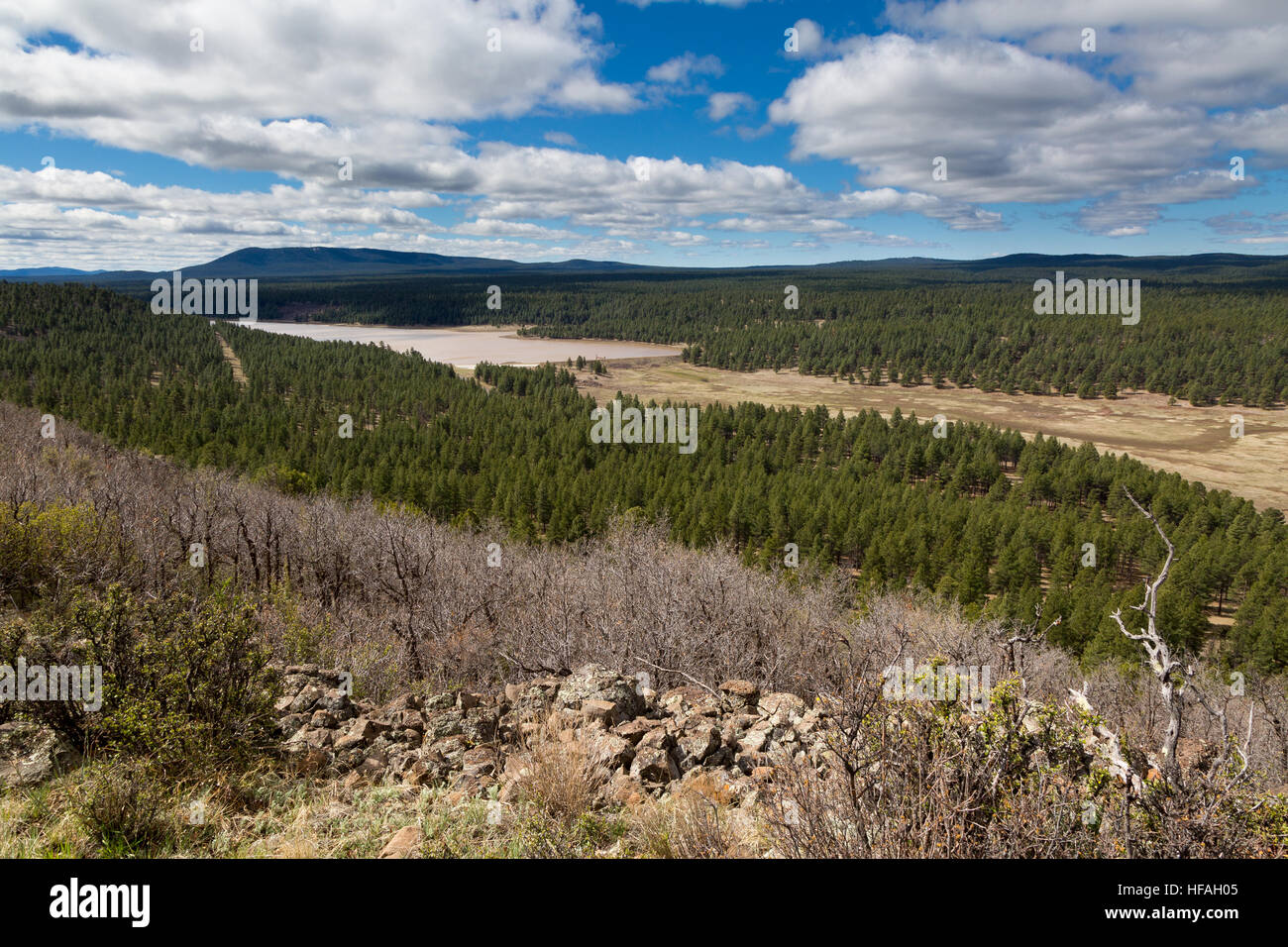 The dammed Upper Lake Mary tucked in a large ponderosa pine tree forest ...