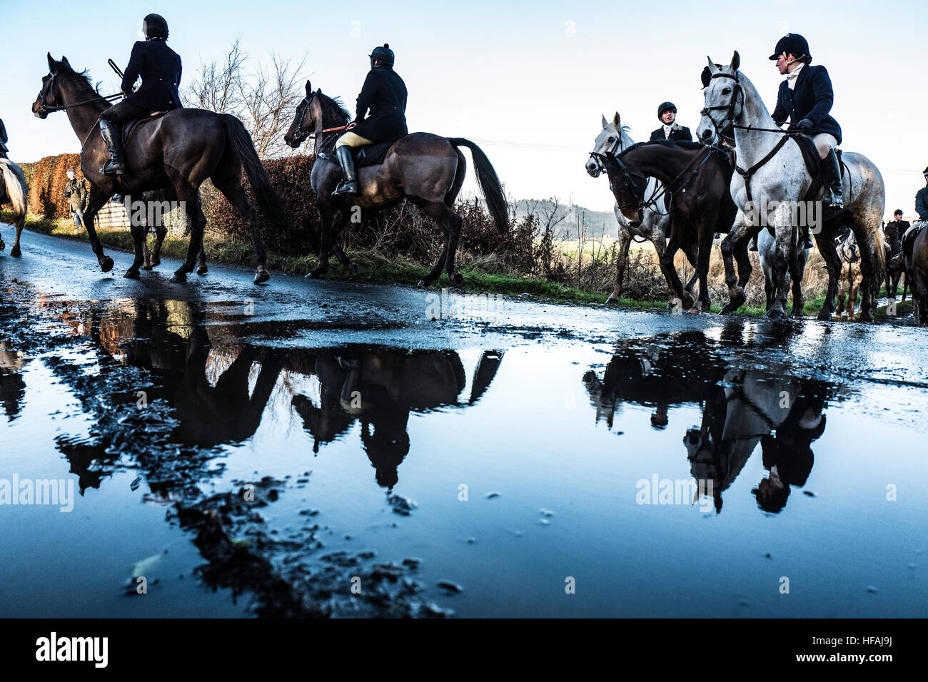 Jedforest Hunt High Resolution Stock Photography and Images - Alamy