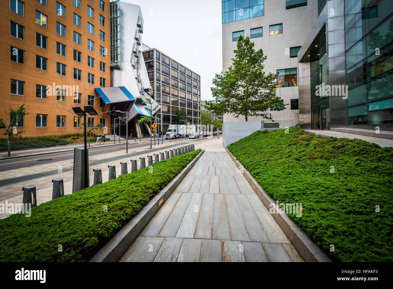 Picower institute hi-res stock photography and images - Alamy