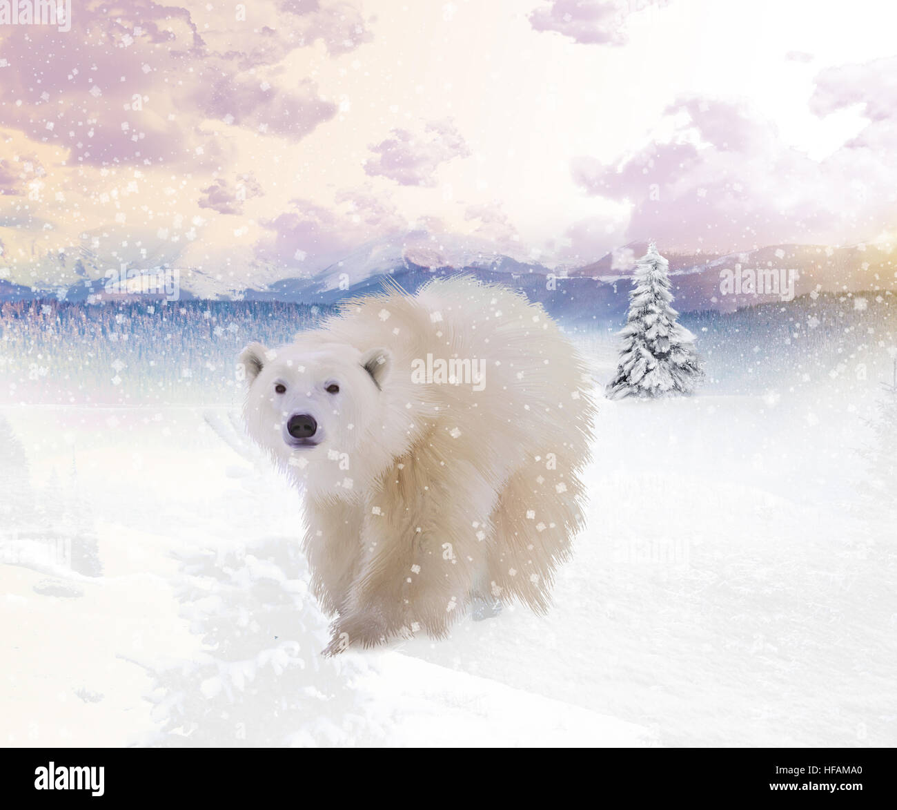 polar, bear, snow Stock Photo - Alamy