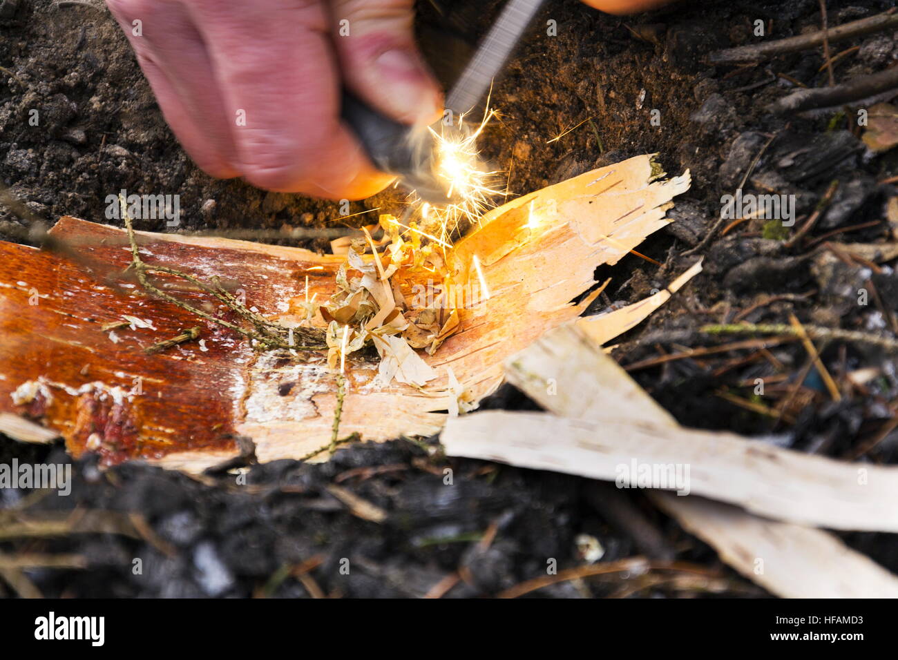 Male hand starts fire with magnesium fire steel, fire striker Stock ...