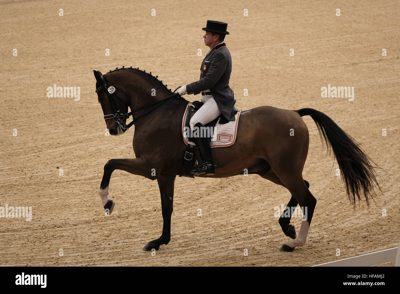 Tournament of CDI 4 dressage freestyle at the Madrid Horse Week 2016 at ...