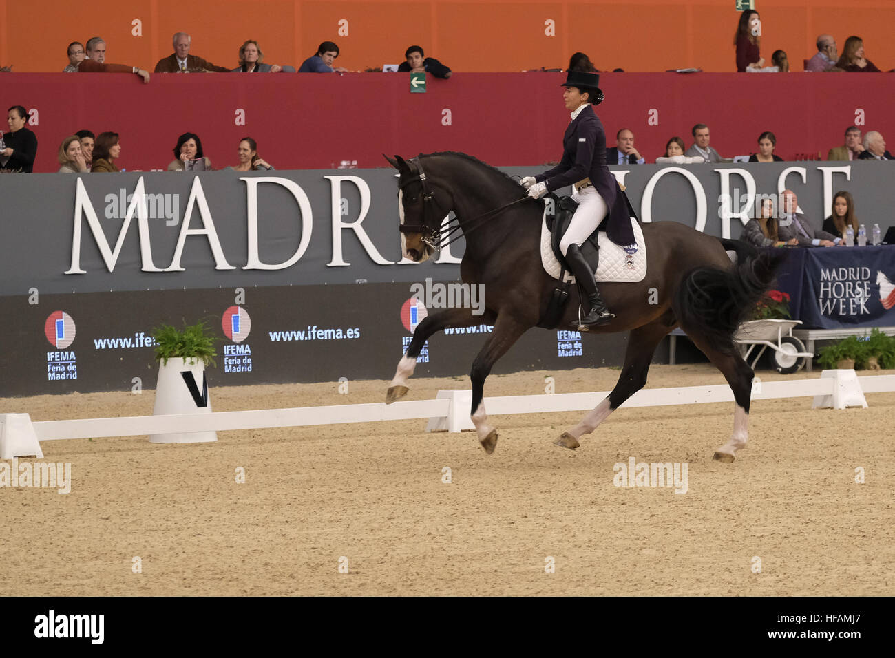Tournament of CDI 4 dressage freestyle at the Madrid Horse Week 2016 at ...