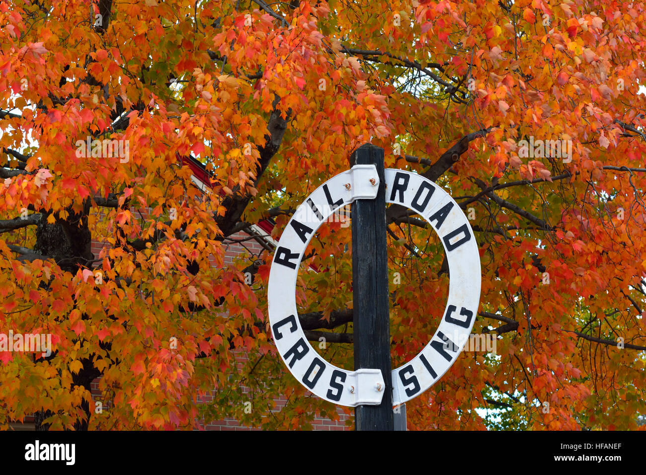 Railroad crossing sign below fall tree Stock Photo - Alamy