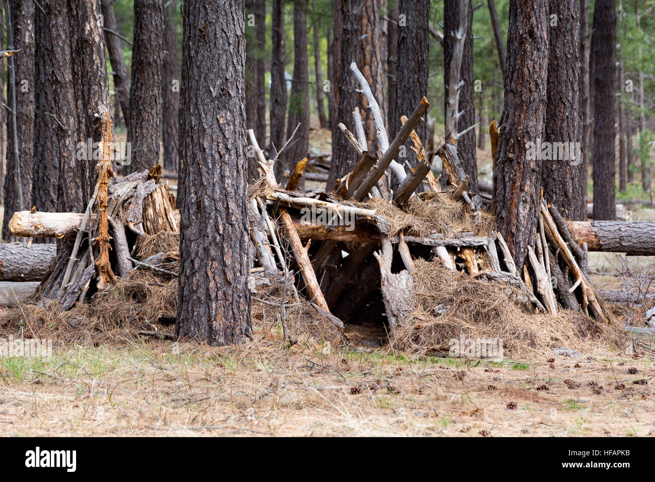 Natural shelter hi-res stock photography and images - Alamy