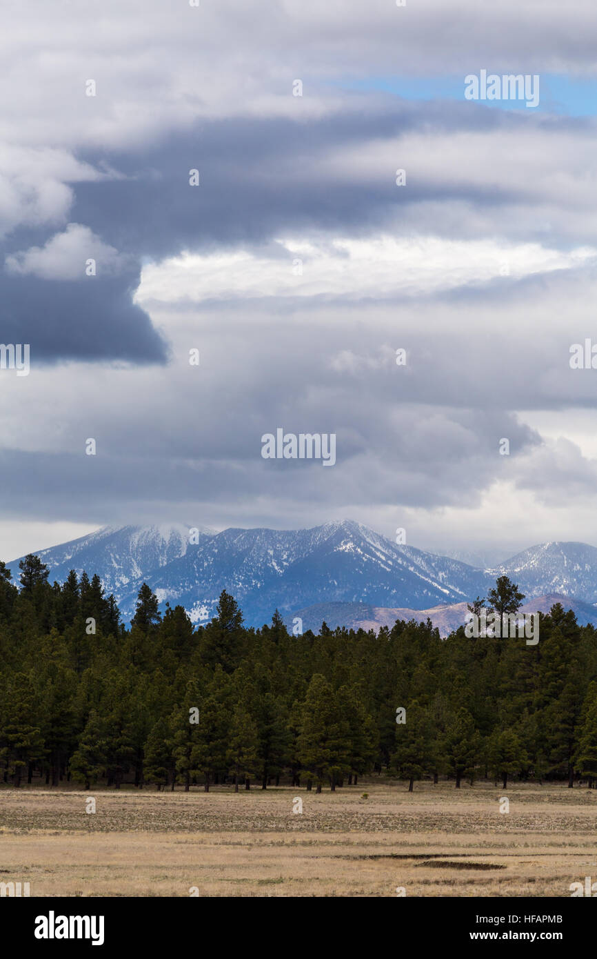 Mogollon rim snow hi-res stock photography and images - Alamy