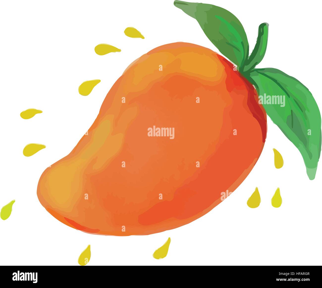 Stone fruit white background Stock Vector Images - Alamy