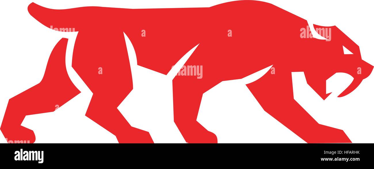 Saber tooth tiger hi-res stock photography and images - Alamy